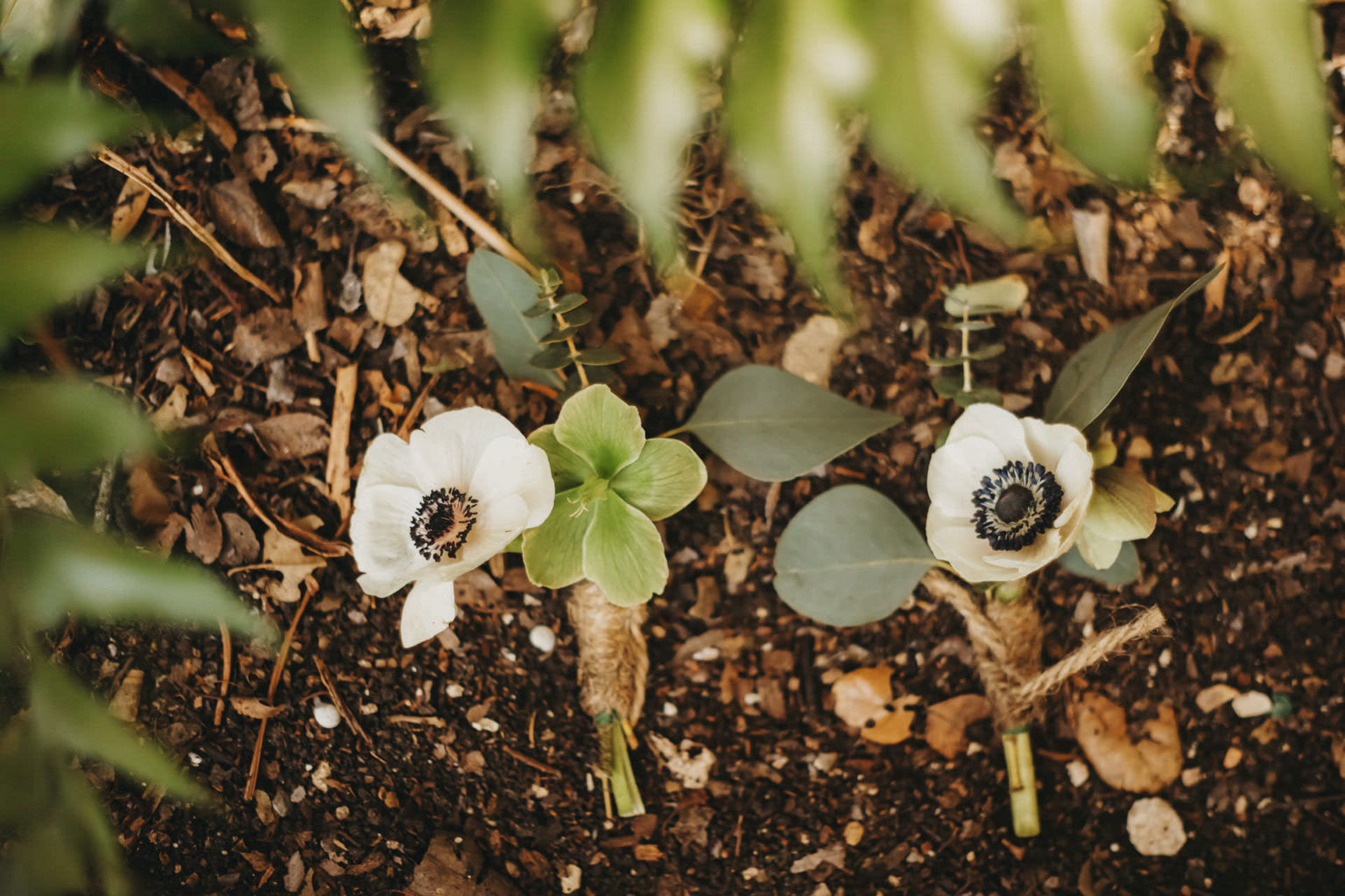 Heidi + Coy . Winfield Inn . Wedding - Austin Wedding Photographers